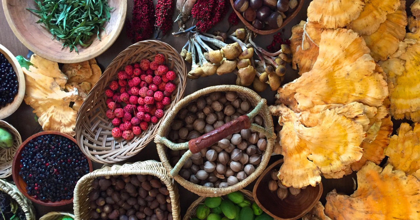 Foraging Tour Asheville, NC | NoTasteLikeHome