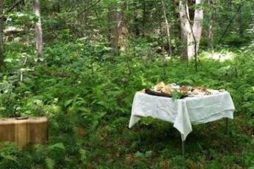 Foraging Tour Asheville, NC | NoTasteLikeHome