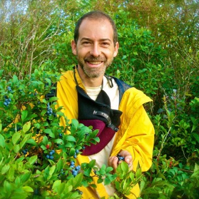 Top Wild Foods | NoTasteLikeHome